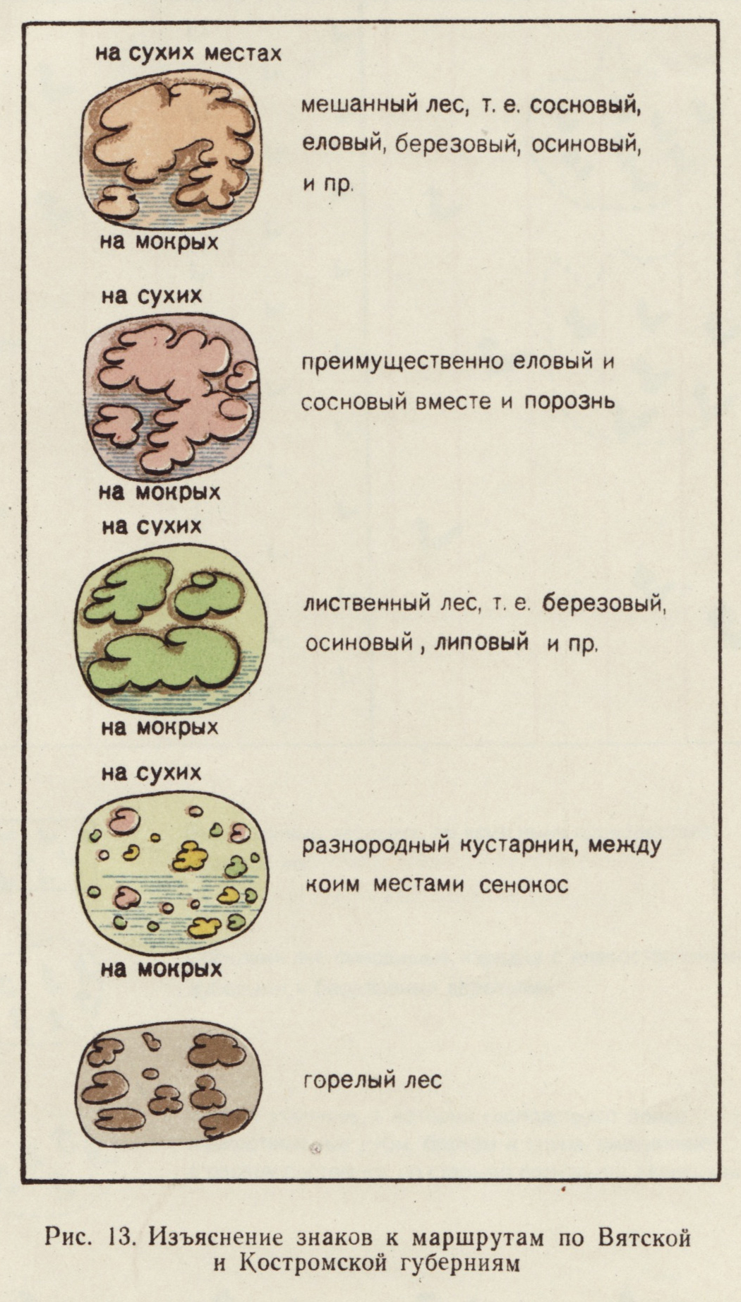 Cartographic Symbols – Trees and Forests | Making Maps: DIY Cartography