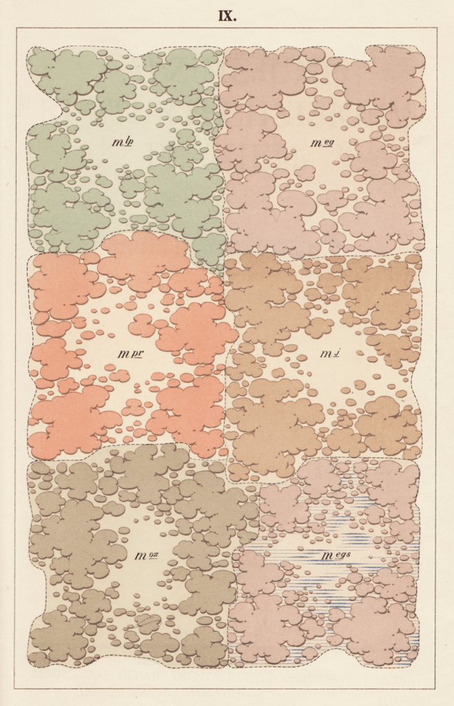 Map Symbols: Vegetation & Land Use | Latvia | 1920s | Making Maps: DIY ...
