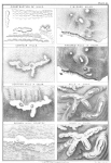 “A Map of Nowhere Showing Everything”: Andre’s Plan & Map Drawing (1891 ...